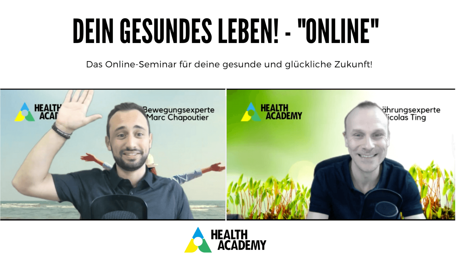 Das Online Seminar für dein gesundes Leben - Mit der Health Academy ...